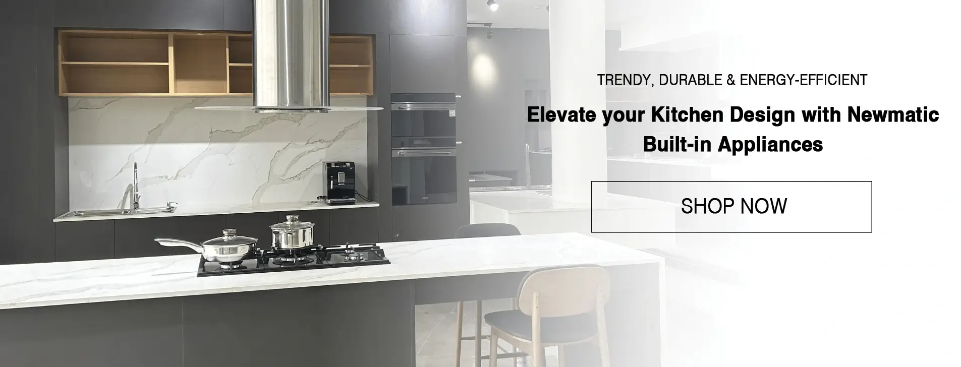 Newmatic Kitchen Appliances Nigeria - Hood - Oven - Hob - Sink - Taps